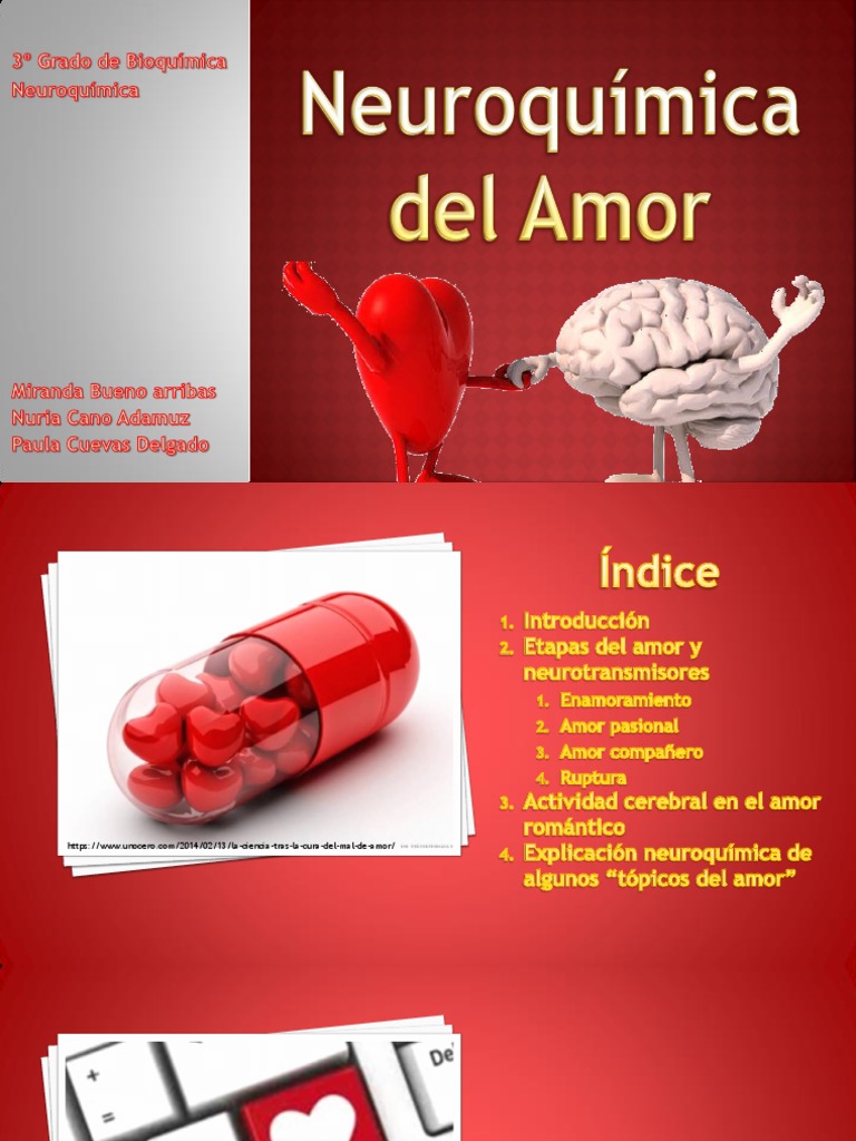 Neuroquímica Del Amor | PDF | Dopamina | Amígdala
