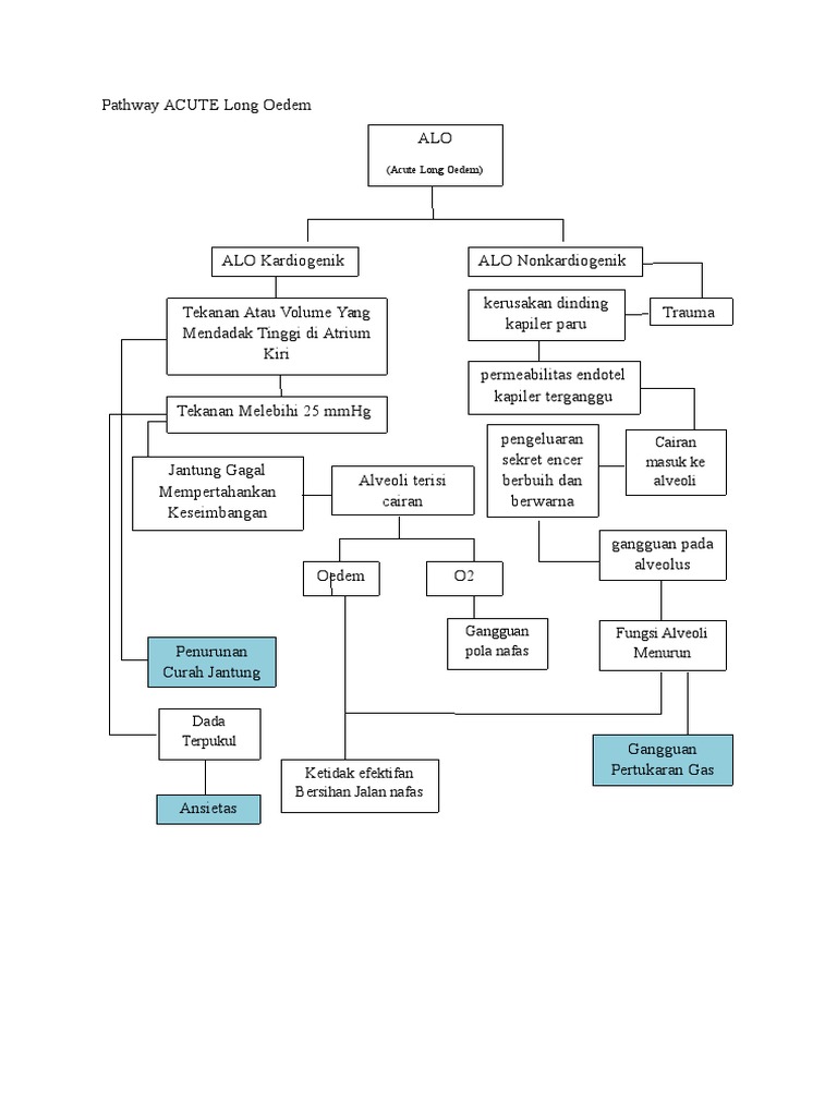 Pathway ACUTE Long Oedem | PDF