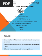 Pupil Isokor dan Anisokor: Penjelasan | PDF