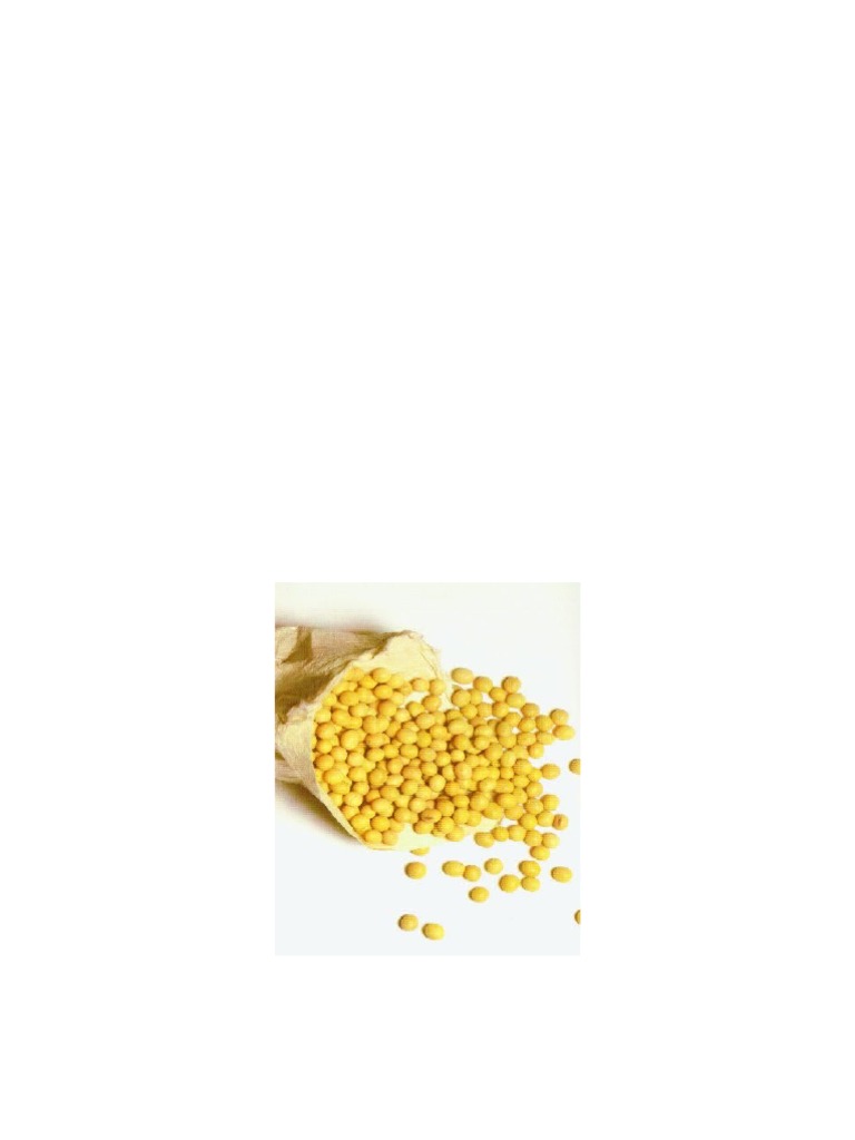 Soy Book | PDF