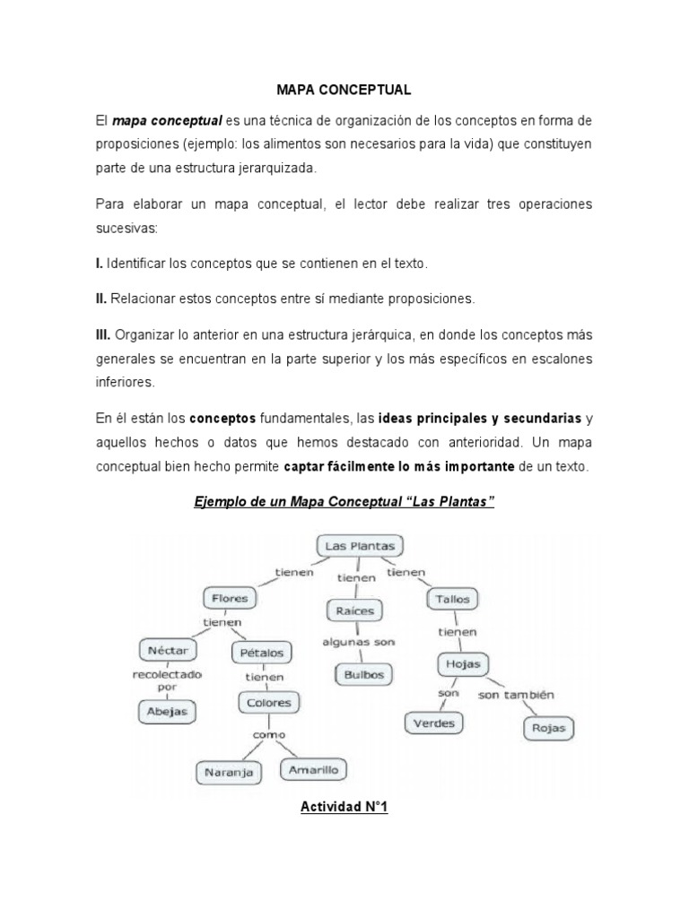 Actividad de Mapas Conceptuales | PDF | Desierto | Tierra