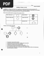 Anatomy & Physiology Lab Fetal Pig Practical Exam Prep | PDF