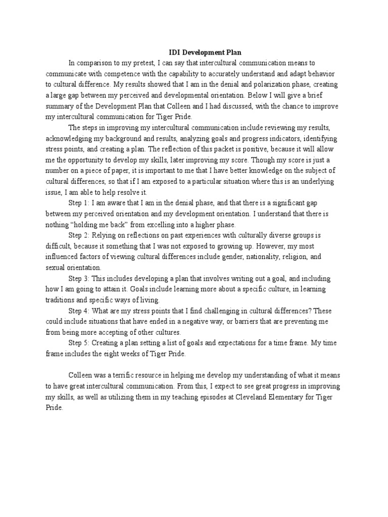 IDI Development Plan | PDF