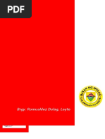 Barangay Disaster Risk Reduction and Management Plan: Years Covered ...