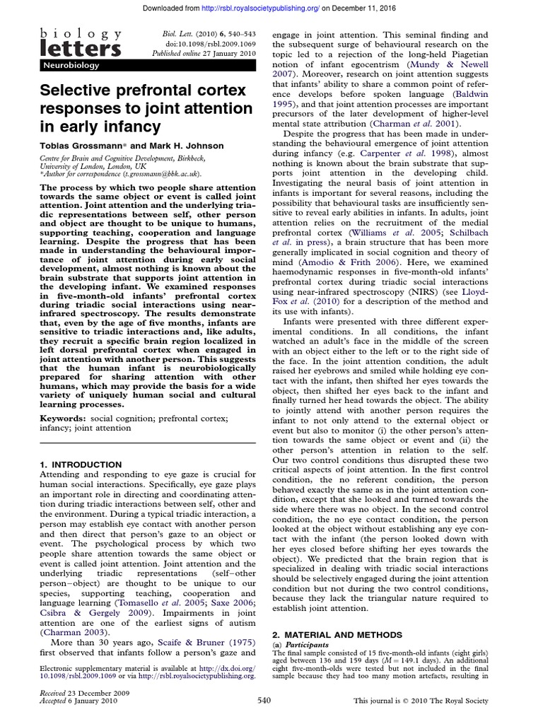 Selective Prefrontal Cortex Responses To Joint Attention in Early ...