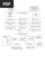 PCAP Pediatric Community Acquired Pneumonia PATHOPHYSIOLOGY | PDF ...