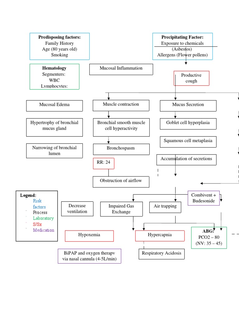 Schematic Diagram Of Pathophysiology Of Asthma Asthma Pathop