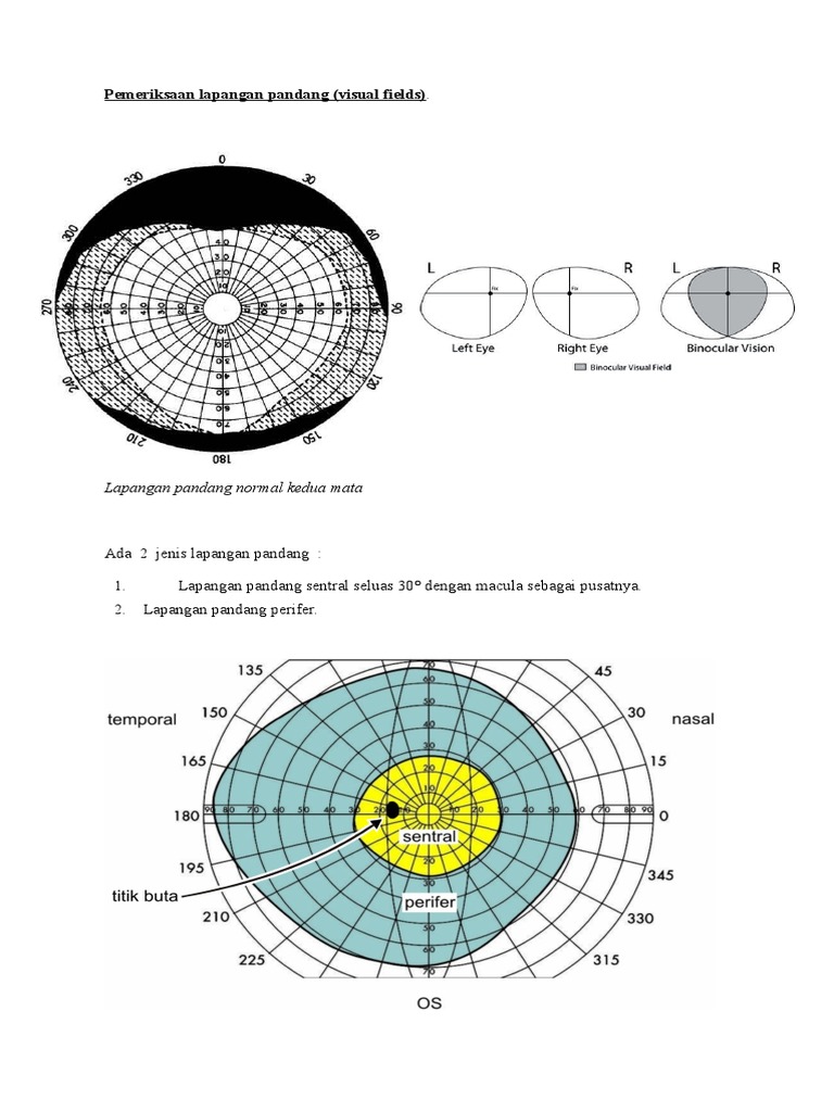 VISUAL FIELDS ASSESSMENT | PDF