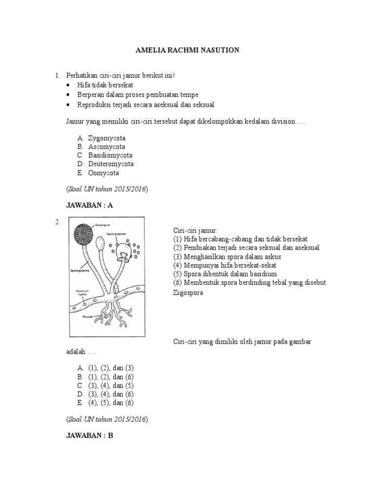 Amelia Rachmi Nasution | PDF
