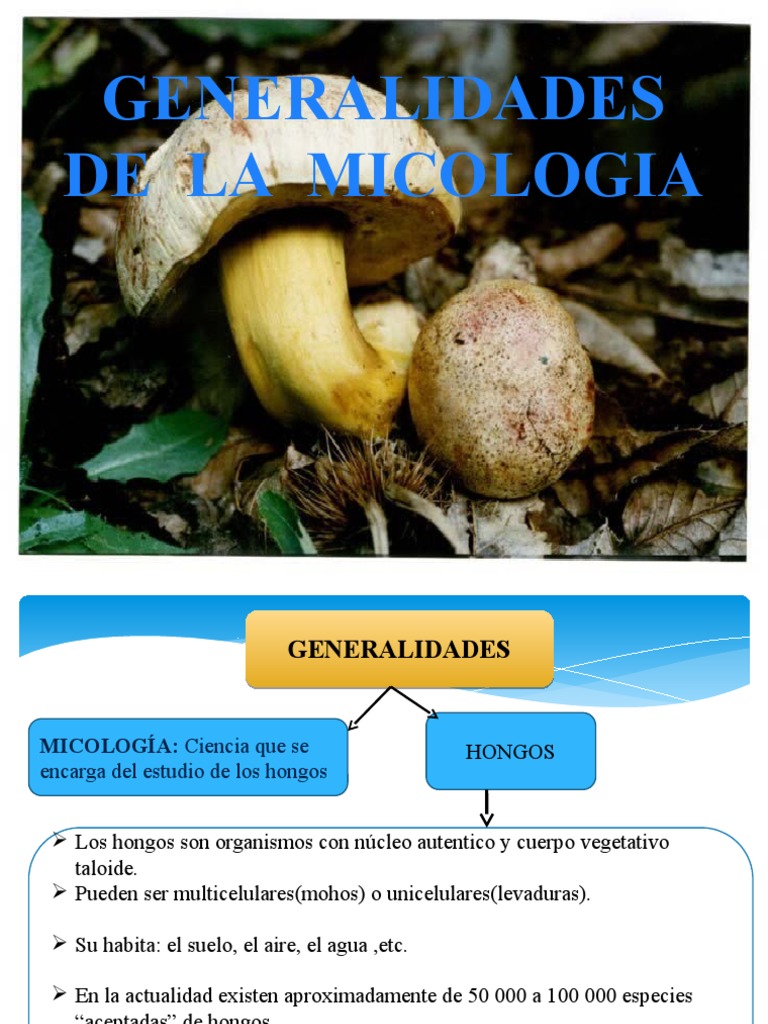 Micologia | PDF | Hongo | Espora
