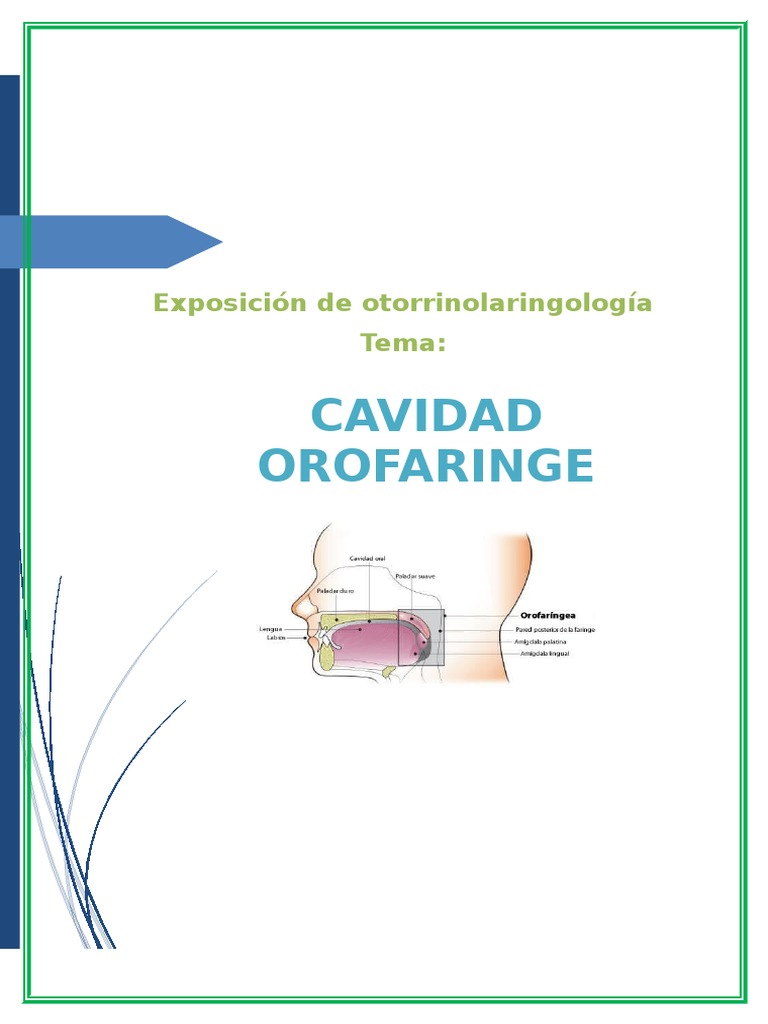 Anatomis y Fisiologia de Orofaringe | PDF | Lengua | Gusto