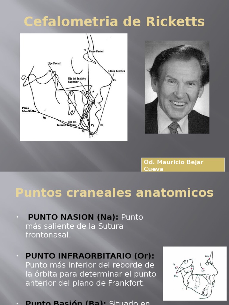Cefalometria de Ricketts | PDF | Anatomia animal | Cabeza y cuello humanos