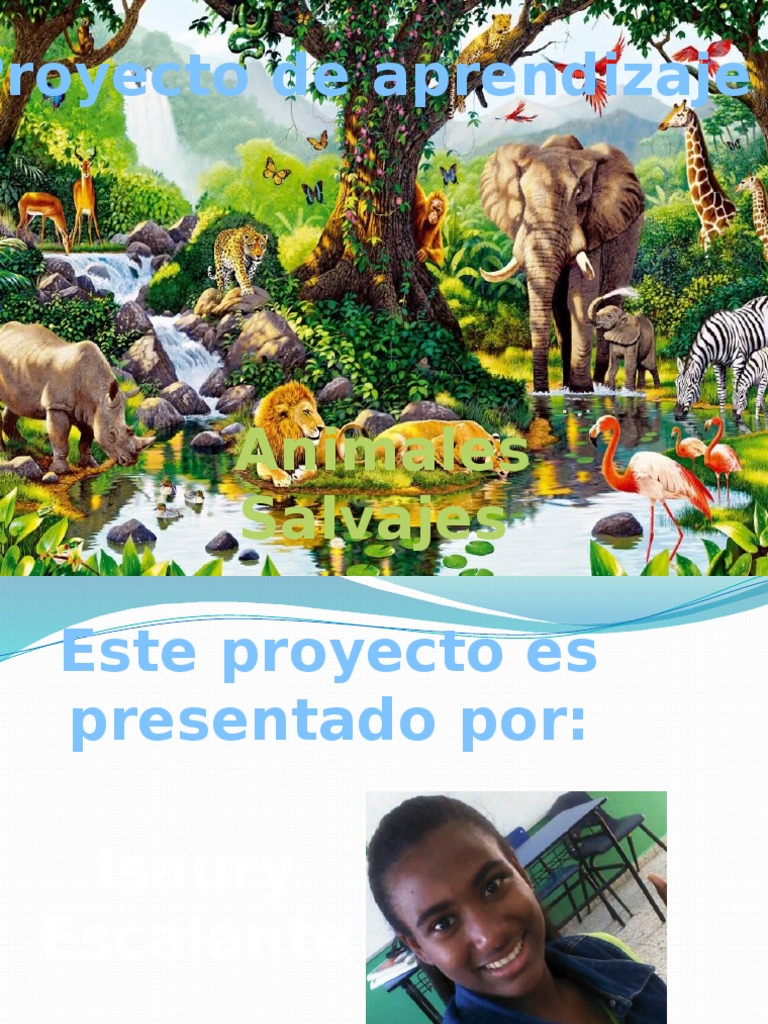 Proyecto Los Animales Salvajes | PDF | Conocimiento | Ciencia cognitiva