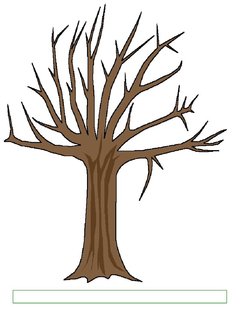 Copac Primavara Evaluare | PDF