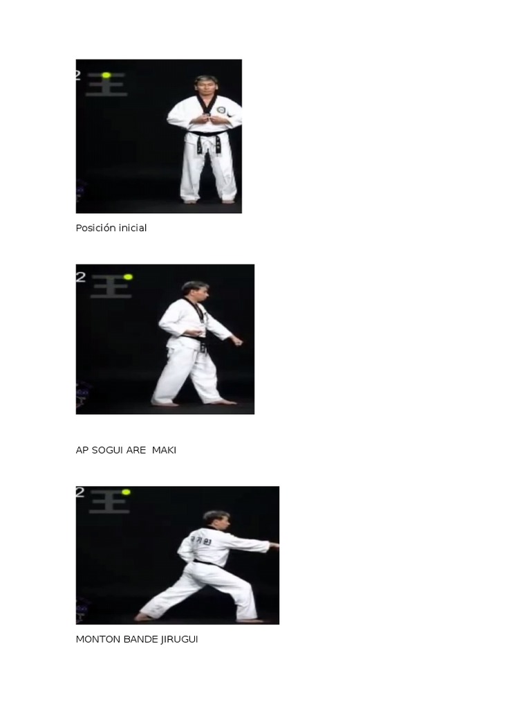 Técnicas de Taekwondo para Niños | PDF