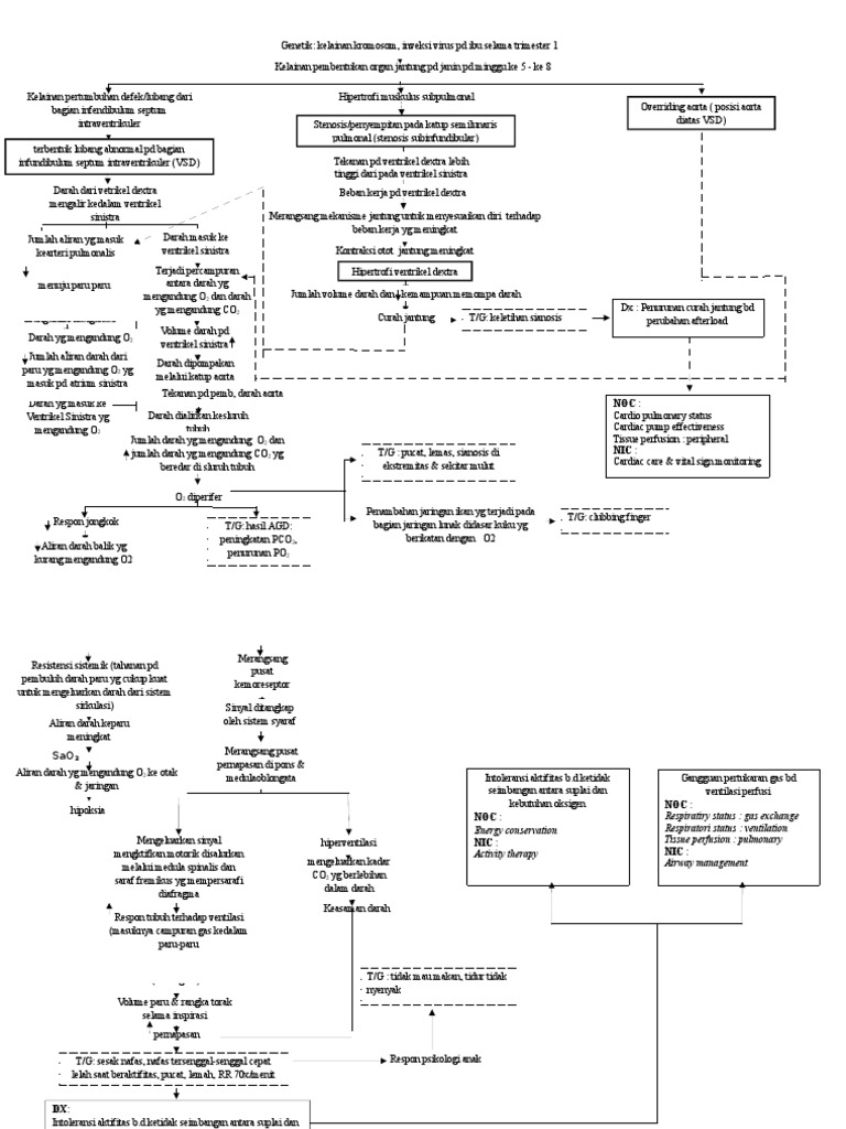 Kelainan Jantung Kongenital: VSD dan Stenosis Pulmonal | PDF | Sains ...