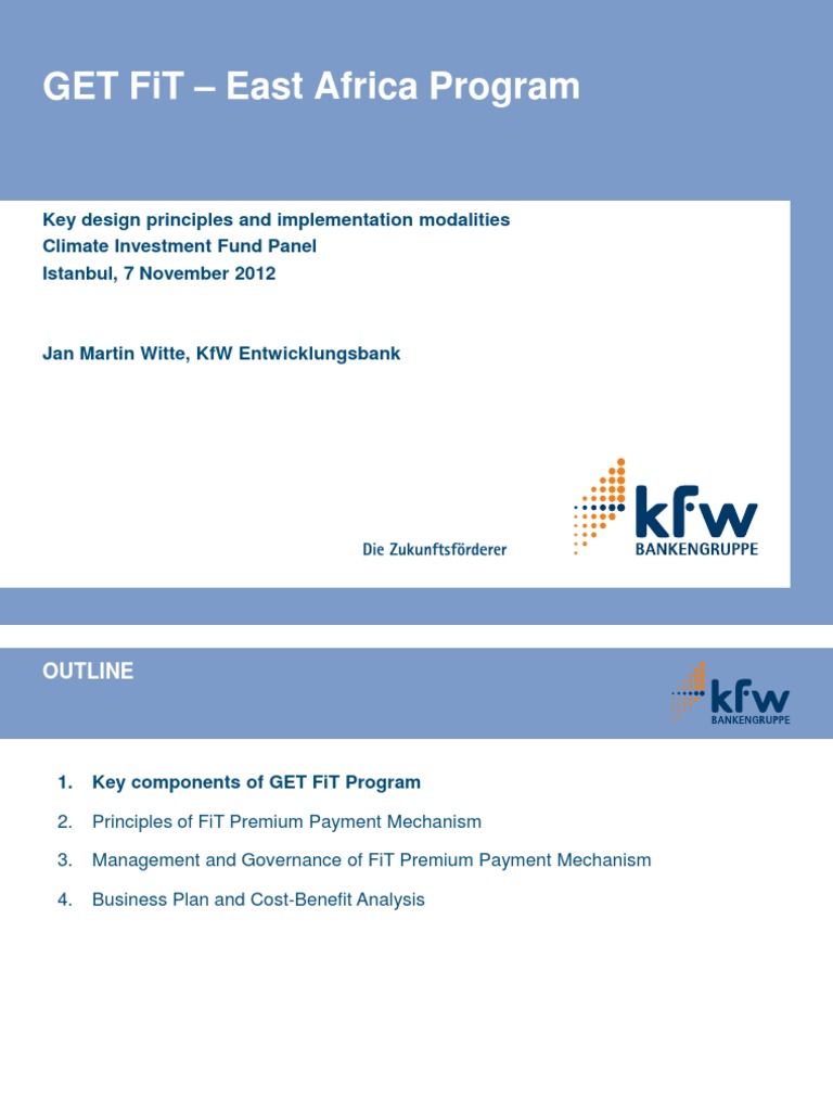 Jan Martin Witte | PDF | Leverage (Finance) | Net Present Value