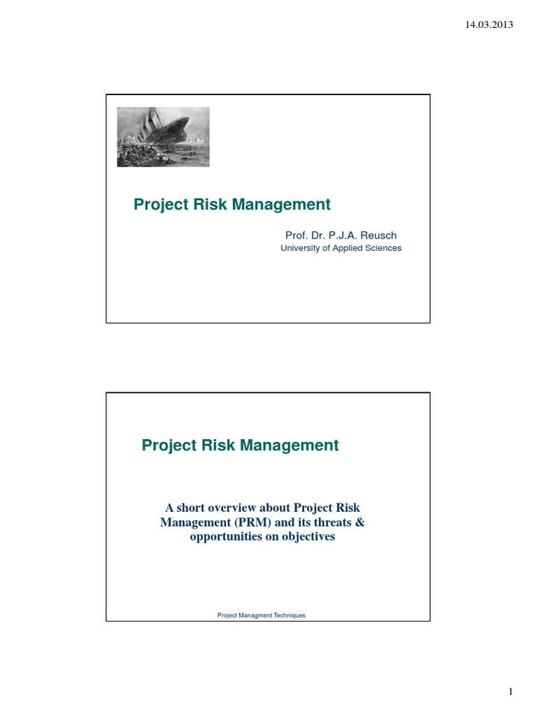Project Risk Management 1 | PDF