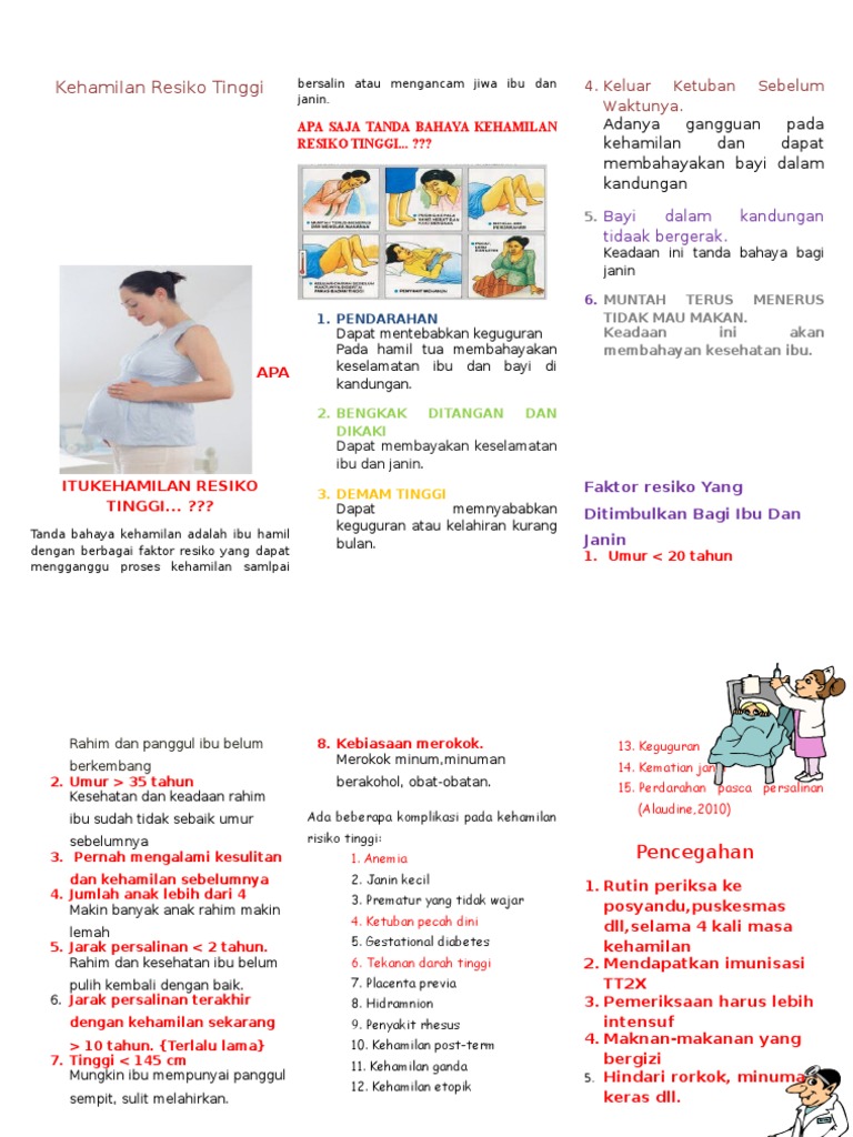 LEAFLET Kehamilan Resti | PDF