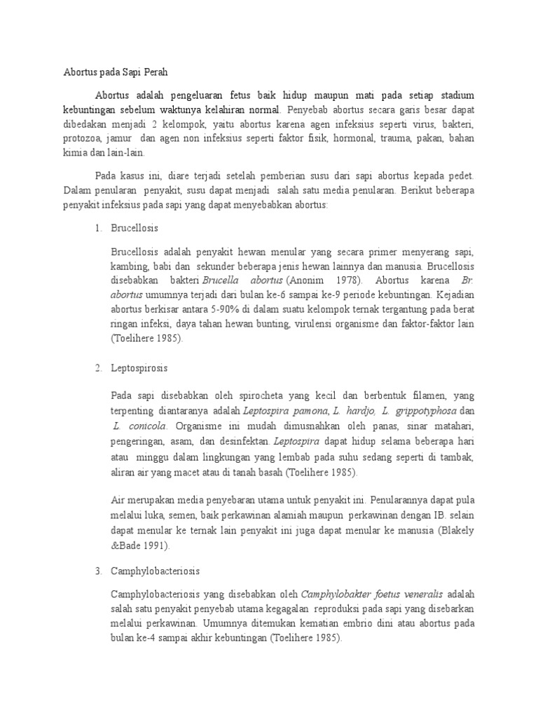 Abortus Pada Sapi Perah | PDF