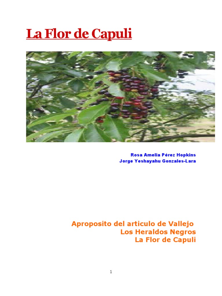 La Flor de Capuli | Poesía | Ficción y literatura