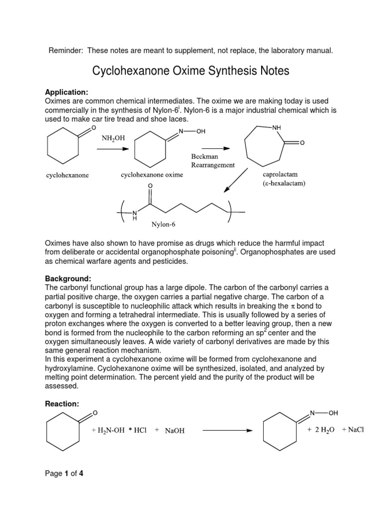 23 Oxime Notes | PDF | Chemical Reactions | Nitrogen