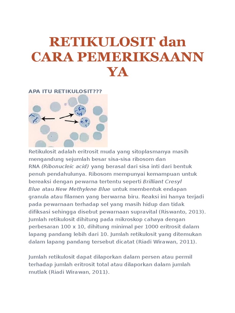 Retikulosit Dan Cara | PDF