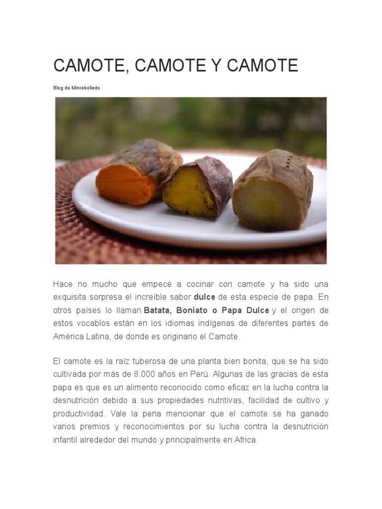 CAMOTE | PDF | Batata | Comida y bebida