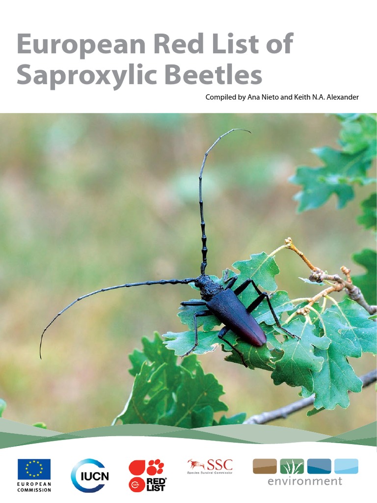 European Saproxylic Beetles PDF | PDF | Conservation Biology ...