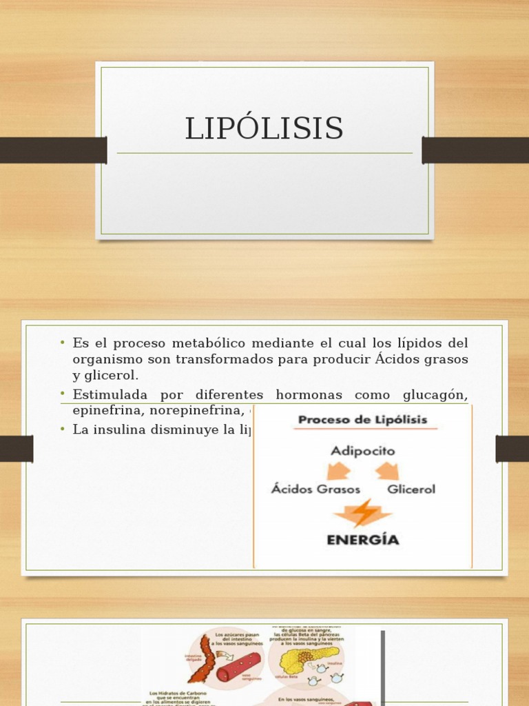LIPÓLISIS | PDF