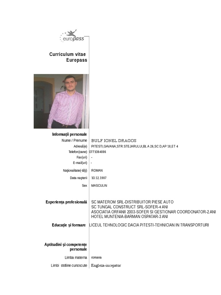 CV Dragos | PDF