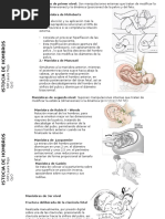 Maniobra de Ritgen | PDF | Parto | Reproducción