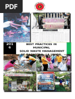 Clean and Green Program Project | PDF | Pollution | Natural Environment