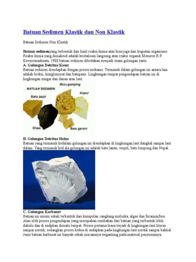 Batuan Sedimen Klastik Dan Non | PDF