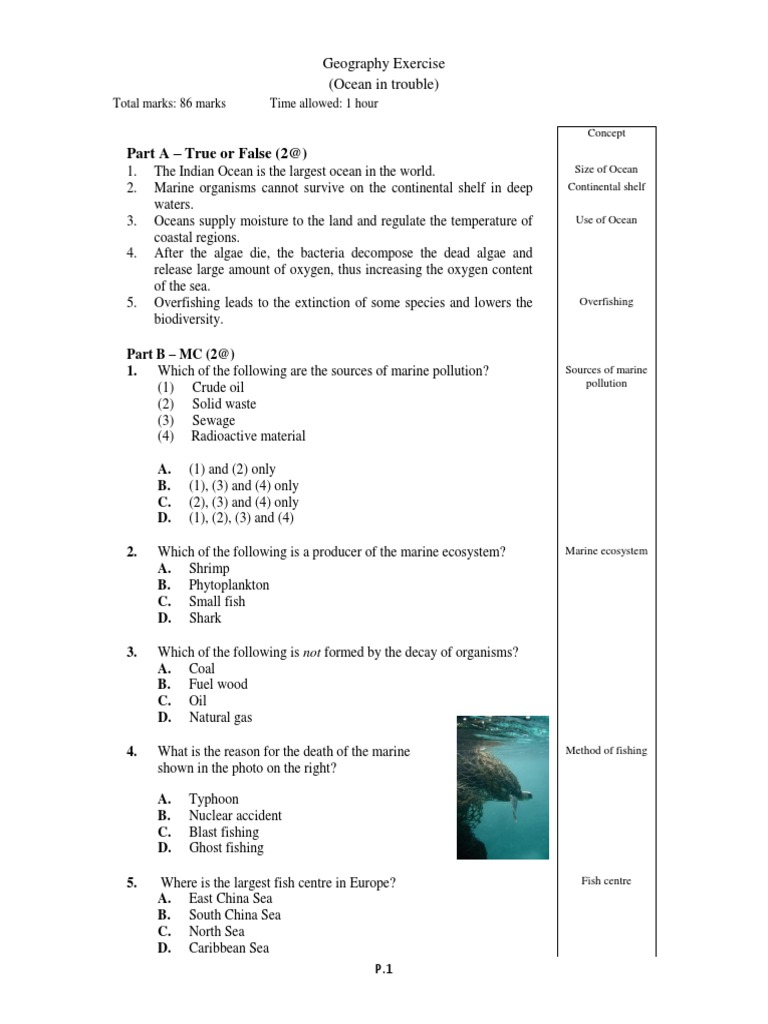 Geography Exercise (Oceans in Trouble) | PDF | Sea | Oceans