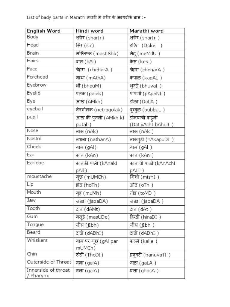 Marathi Body Parts Vocabulary List | PDF