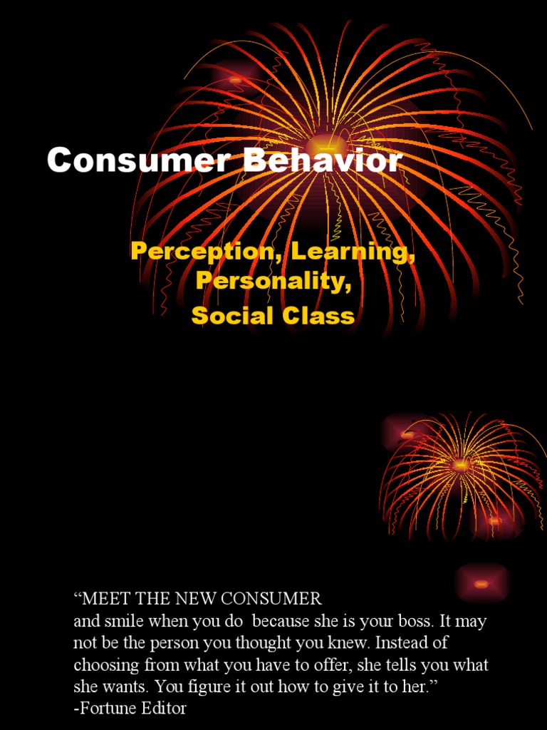 Consumer Behavior: Perception, Learning, Personality, Social Class | PDF | Perception | Id