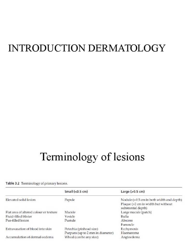 Dermatology Lesion Guide | PDF | Cutaneous Conditions | Skin