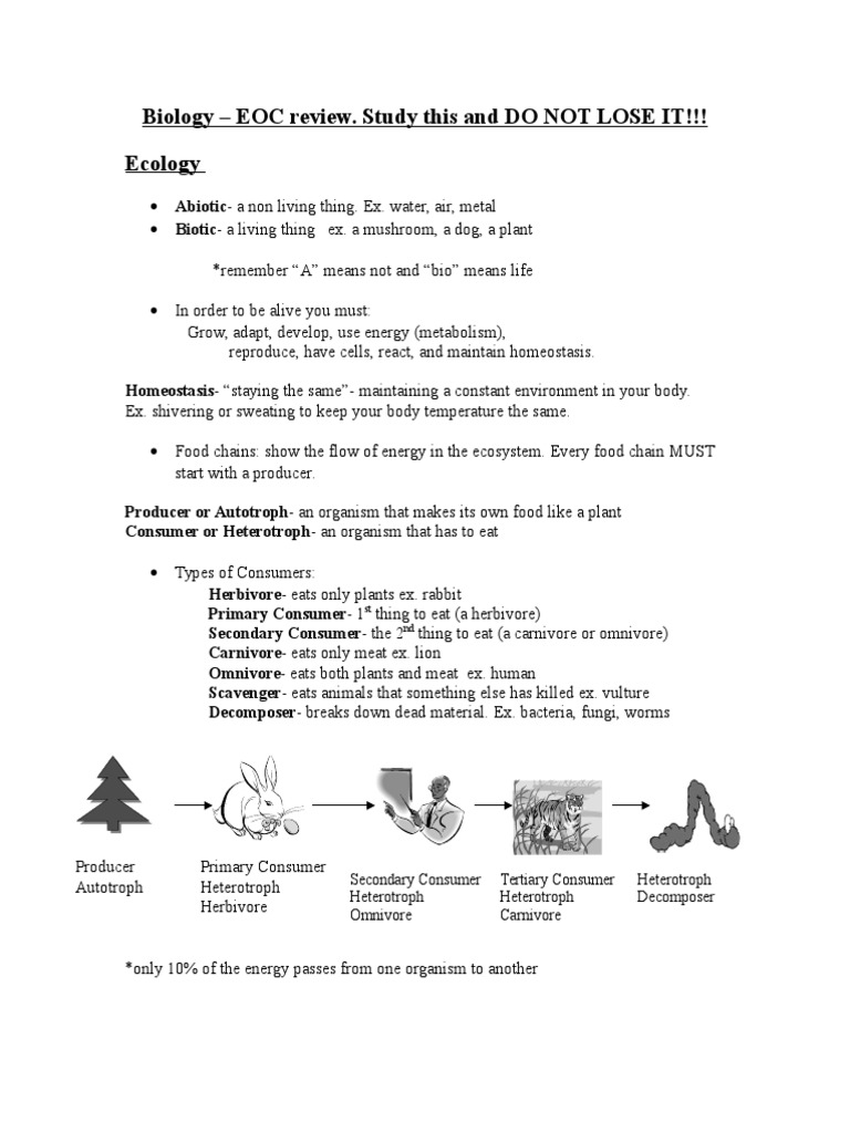 Biology EOC Review: Ecology & Populations | PDF | Chemistry | Biology