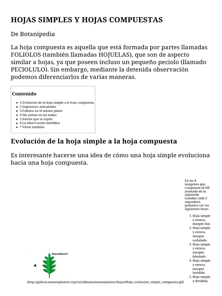 Hojas Simples y Hojas Compuestas - Botanipedia | PDF | Hoja | Tallo de ...