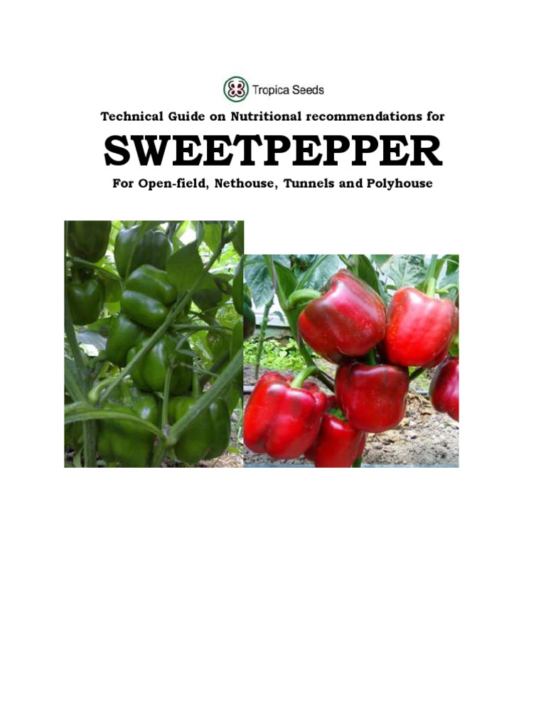 Sweet Pepper Nutritional Guide | PDF | Plant Nutrition | Horticulture ...