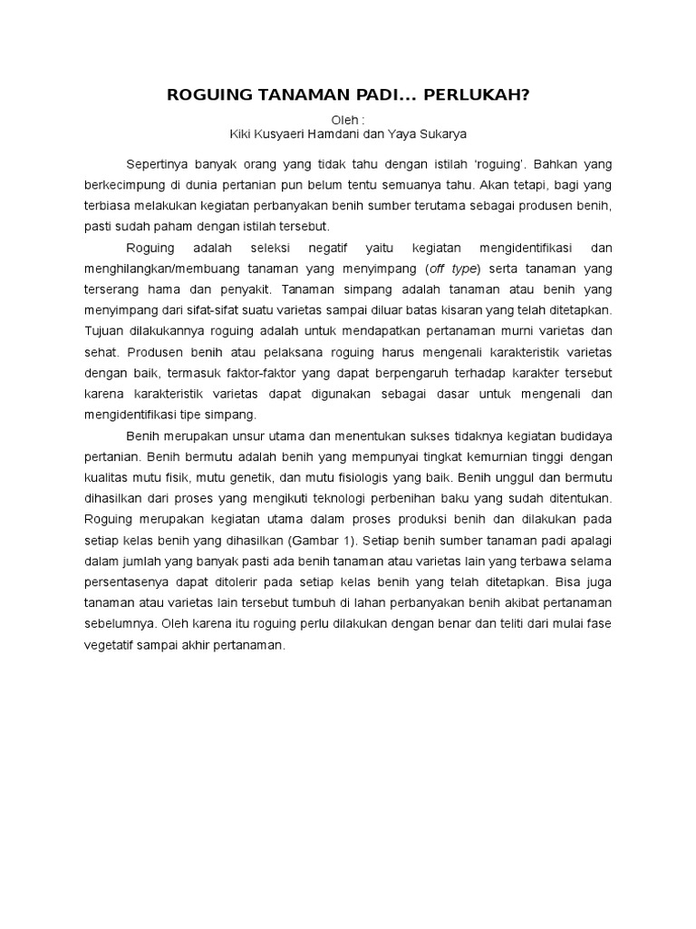 Roguing Tanaman Padi - Kiki | PDF