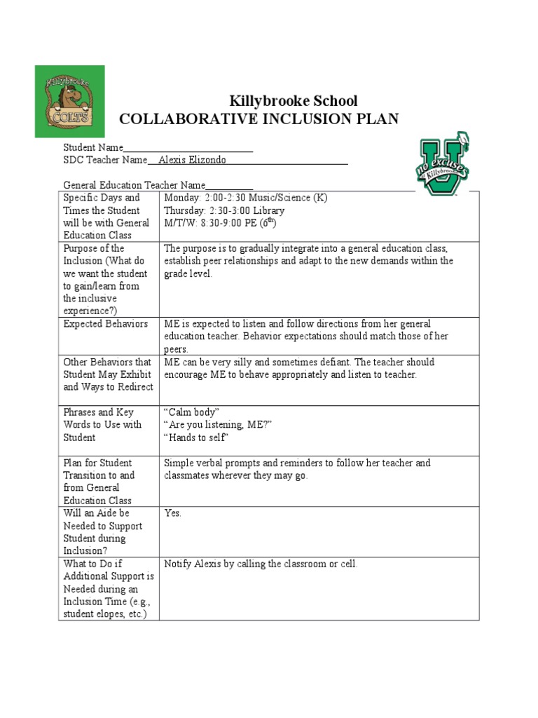 Inclusion Plan | PDF