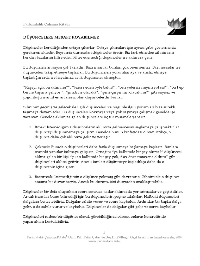Dusunce PDF | PDF