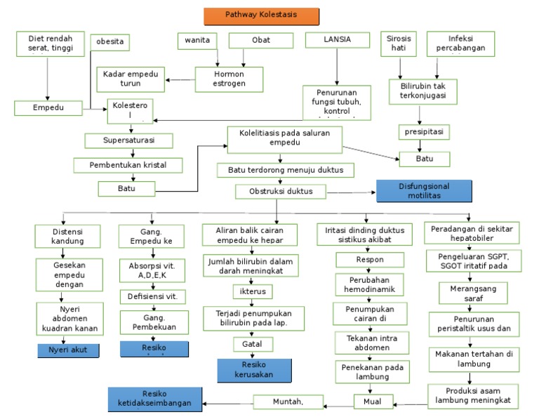 Pathway Kolestasis | PDF