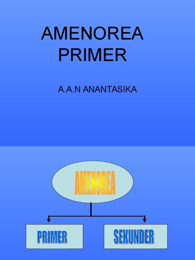 Amenore Primer | PDF