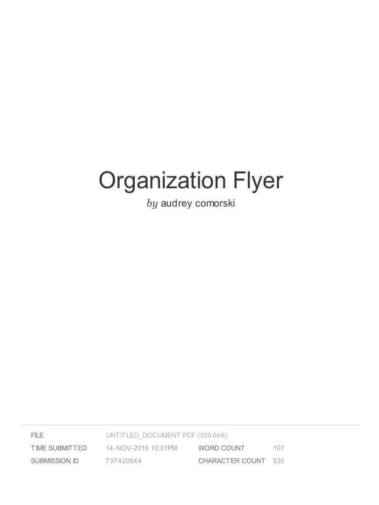 Organization Flyer | PDF
