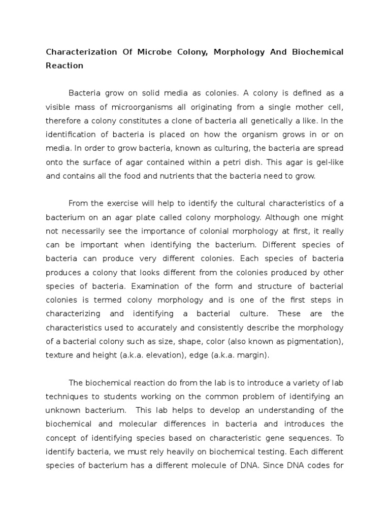 Characterization of Microbe Colony | PDF | Science & Mathematics