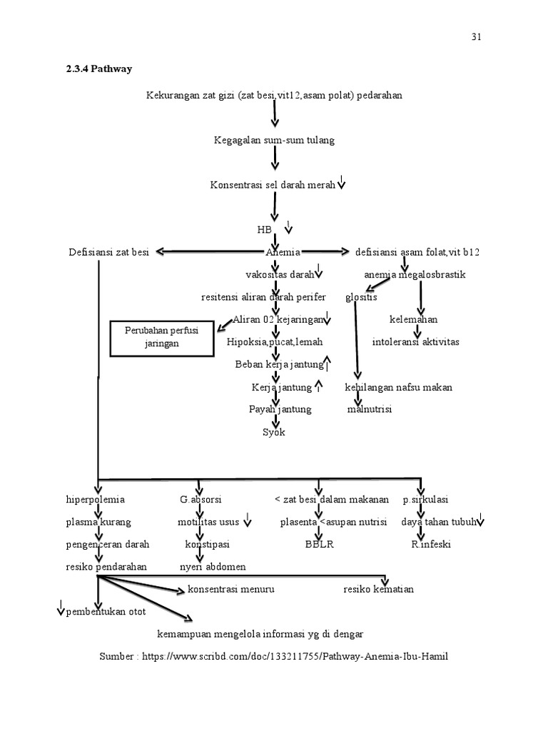 Pathway Anemia Ibu Hamil | PDF