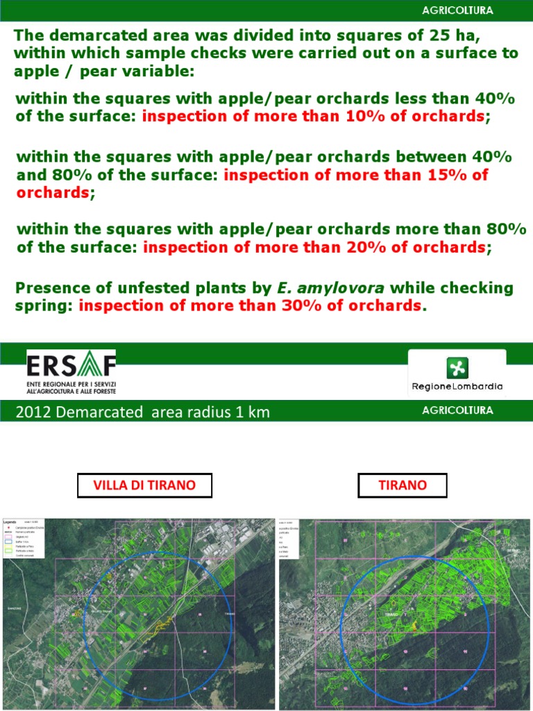 Inspection of More Than 10% of Orchards | PDF | Plant Life Form | Plants
